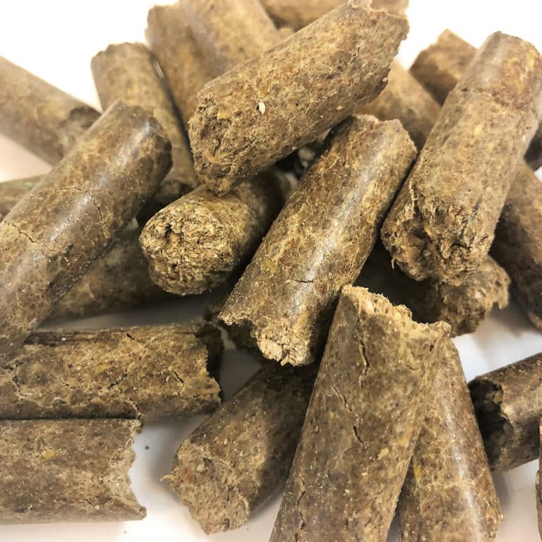 Shop - Excel Equine Horse Feeds